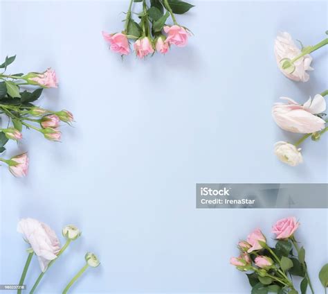 꽃 배경입니다 옅은 파란색 배경에 옅은 핑크 라와 장미 꽃의 꽃다발 프레임 최고의 볼 수 있습니다 복사 0명에 대한 스톡 사진 및 기타 이미지 Istock