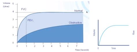 asthma introduction to asthma flashcards quizlet