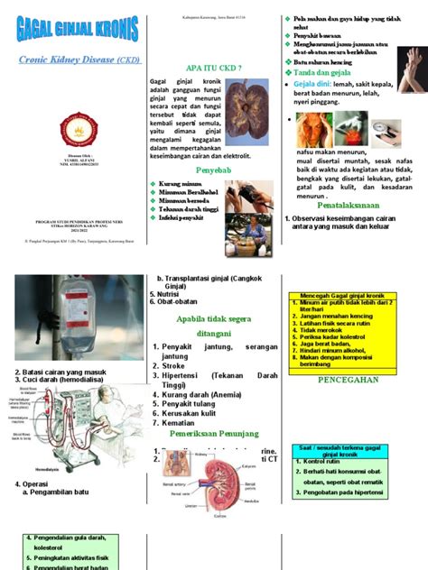 Leaflet Ckd Doc Pdf