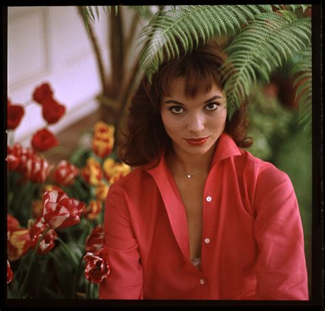 Meet Three Time Life Cover Model Elsa Martinelli Life