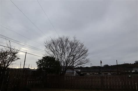 ポツッと｜宮崎のドッグランはdogrun Sol