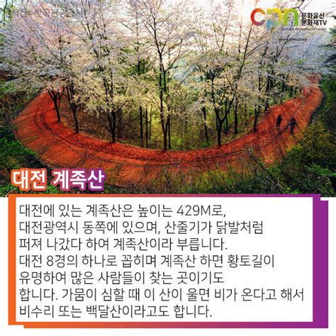카드뉴스로 배우는 문화유산 대전 계족산성 Cpn문화유산 문화재tv