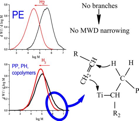 Hydrogen Effect On The Molecular Weight Distribution Of Polymers Obtained By Polymerization Of