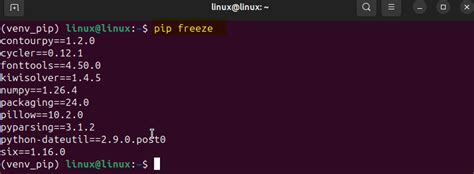 How To Install Pip And Use On Ubuntu 2404 Linuxways