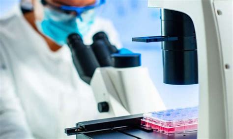 Stem Cell Rejuvenation Startup Secures Investment Drug Discovery