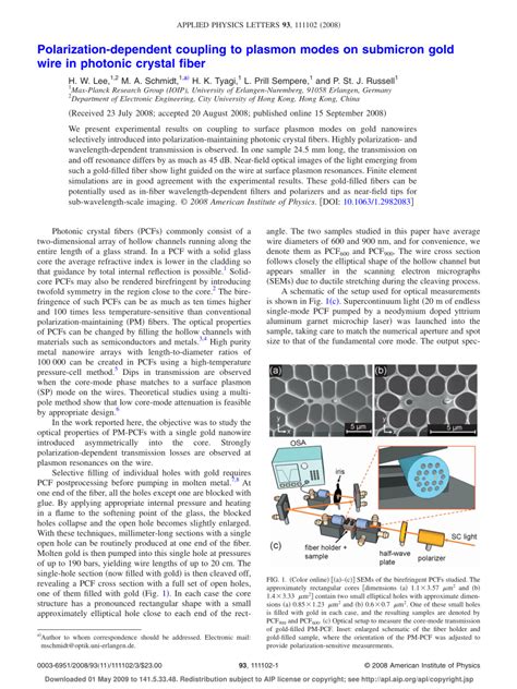 Pdf Polarization Dependent Coupling To Plasmon Modes On Submicron