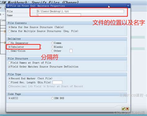 Sap中使用lsmw批量导入总账科目 Lsmw倒入科目主数据 Csdn博客