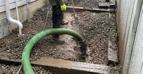 Tree Roots In Plumbing Line Diamond Hydrovac