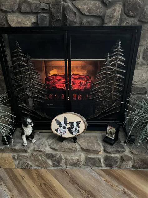 9 Best Electric Fireplace Logs With 3d Realistic Effect