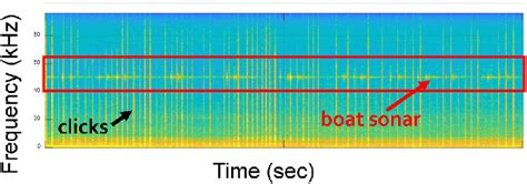 Representative Example Of Echolocation Clicks Of The Tagged Whale