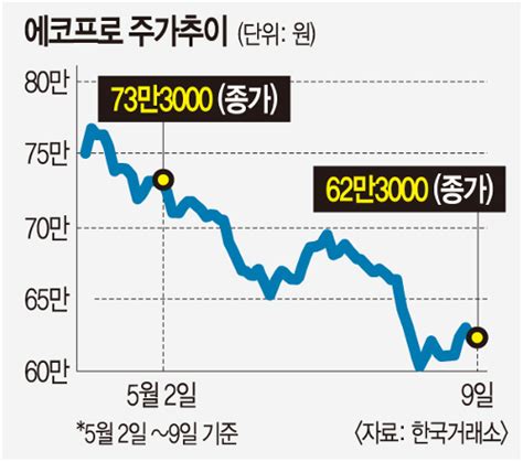 에코프로비엠 대주주 주식 매각에 투자자들 대혼란 국민일보