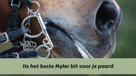 11x Het Beste Myler Bit Voor Jouw Paard