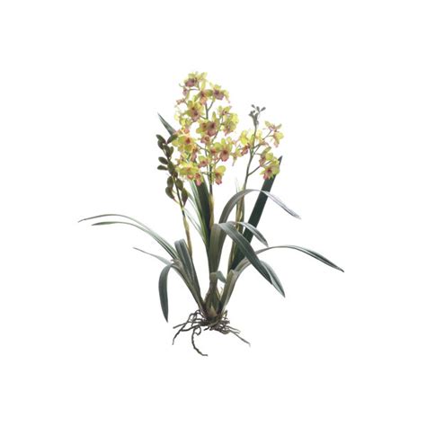 Winward Silks Dendrobium Orchid Stem Perigold