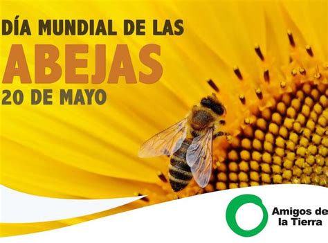 20 de Mayo Día Mundial de las Abejas Biodiversidad en América Latina