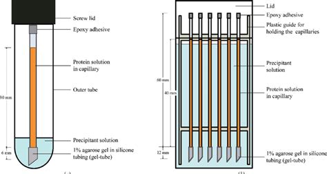 Crystallization Devices Used For The Counter Diffusion Experiments In