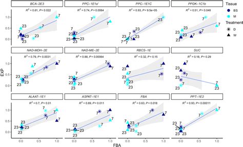 Correlations Between Predicted Enzymatic Fluxes And Estimated Gene Download Scientific Diagram