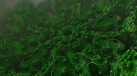 🔥 Free Download Wallpaper Microorganisms Cells Microscopic By Groth