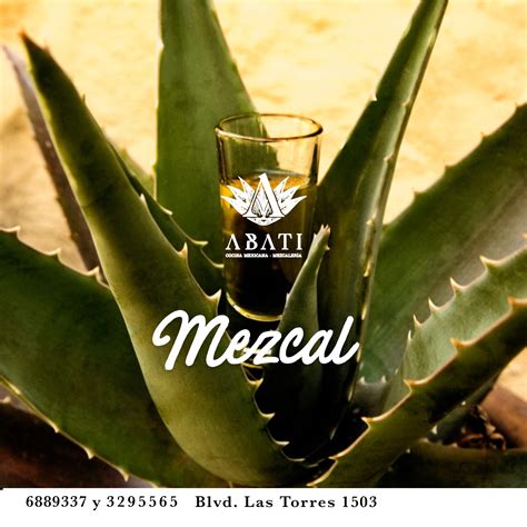 Abati ¿conoces La Diferencia Entre El Mezcal Y El Facebook