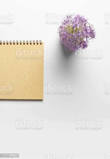 상단보기 복사 공간 Mockup에서 흰색 책상 테이블에 알륨 꽃병이있는 빈 갈색 노트북 0명에 대한 스톡 사진 및 기타 이미지