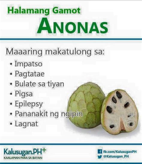 Halamang Gamot Sa Sakit Ng Tiyan At Pagsusuka
