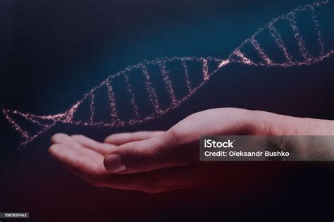 남자 손바닥에 Dna 분자를 들고 Dna에 대한 스톡 사진 및 기타 이미지 Dna 개념 개념과 주제 Istock