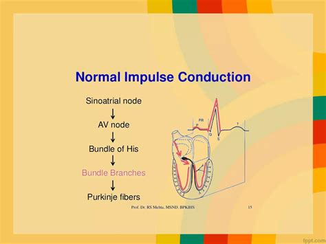 Sinoatrial Node Pptx