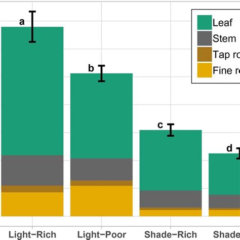 Biomass And Mass Allocation Of Leaf Stem Tap Root And Fine Root