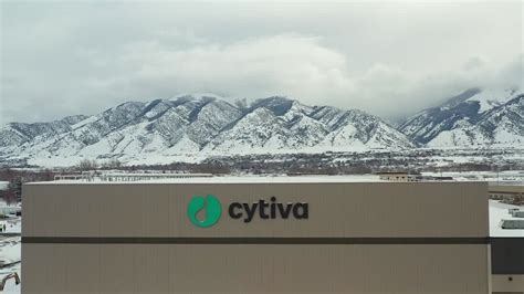 Iain Carmichael On Linkedin Watch How Weve Been Eliminating Polystyrene In Packaging