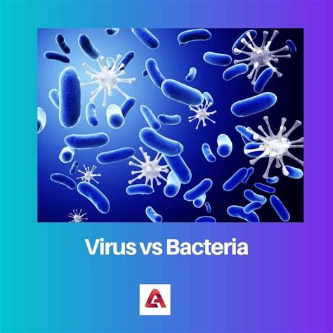 Virus Vs Vi Khuẩn Sự Khác Biệt Và So Sánh