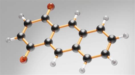 A Brilliant Mind 20 Facts About Aristotle Historys Greatest Thinker