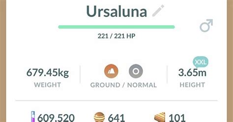 Shiny Bear Album On Imgur