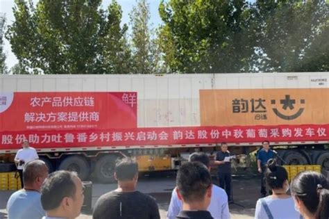 助力乡村振兴超过500吨吐鲁番无核白葡萄通过韵达冷链外运出疆 网络平台