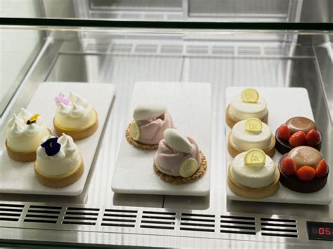 대구 범어동 신상 디저트 카페 타르트 맛집 헥스디저트랩 네이버 블로그