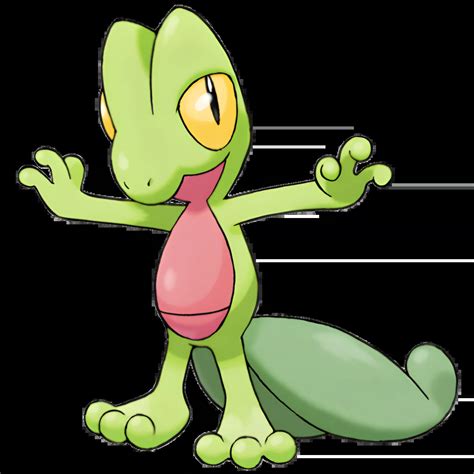 Treecko Pokémon Wiki Fandom