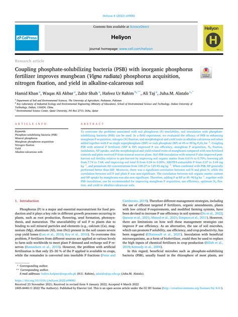Pdf Coupling Phosphate Solubilizing Bacteria Psb With Inorganic