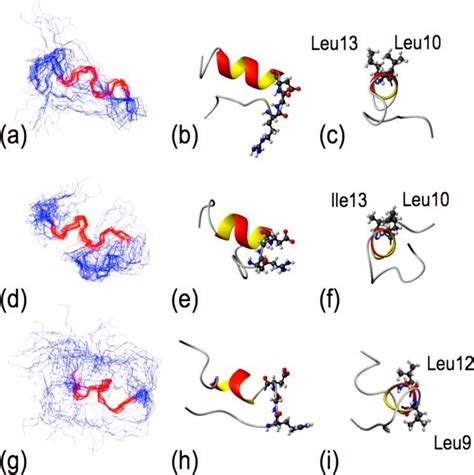 Analysis Of Peptide Structure Using Nmr Spectroscopy Calculated