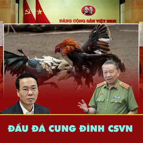 Đấu đá Cung đình Csvn Chân Trời Mới Media