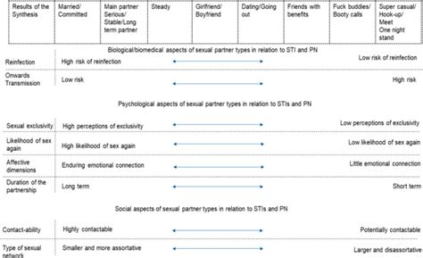 Going Beyond Regular And Casual Development Of A Classification Of Sexual Partner Types To