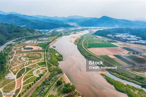 에어로 드론 보기 다양한 모란 꽃이 만발한 강변 밭의 봄 풍경 한국 경상남도 합천군에 있는 호들 생태공원의 모란꽃 풍경 5월에 대한 스톡 사진 및 기타 이미지 Istock