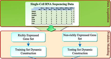 MISC Missing Imputation For Single Cell RNA Sequencing Data RNA Seq Blog
