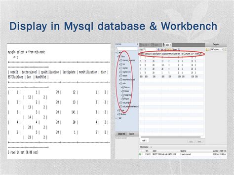 Network Information Base NIB Visualization System