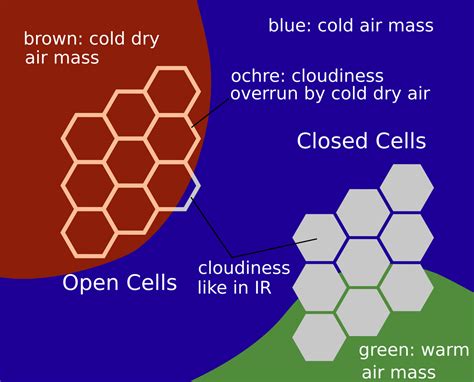 Convection Cell