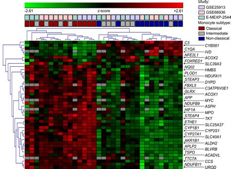 Preferential Expression Of Iron Related Genes In Classical Monocytes