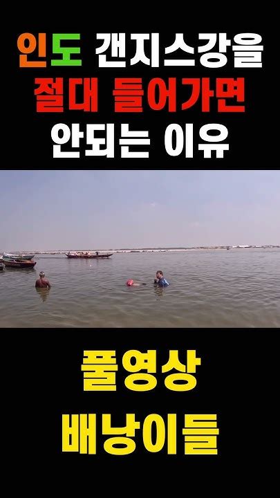 인도 갠지스강에서 절대 수영하면 안되는 이유ft피부썩음인도여행 인도 인도음식 세계여행여행유튜버 여행 여행
