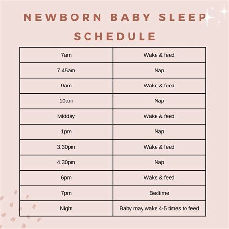 Newborn Sleep Schedule Sample At Robert Pridgen Blog
