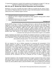 BIO Lab Cellular Respiration And Fermentation Docx To Submit This Assignment Students