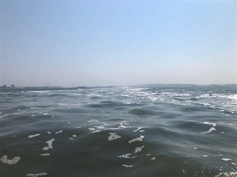 Online Notepad Untitled 10 6 2020 10 44 32 Am High Quality