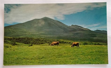yahoo オークション 大判絵葉書 軽井沢 浅間牧場