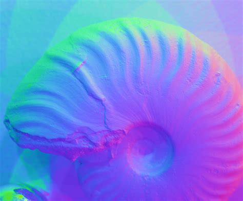 An Easy To Build Reflectance Transformation Imaging Rti System Just