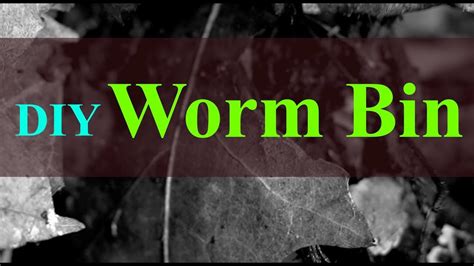 Vermicomposting 101 How To Create And Maintain A Simple Worm Bin 2024 Youtube
